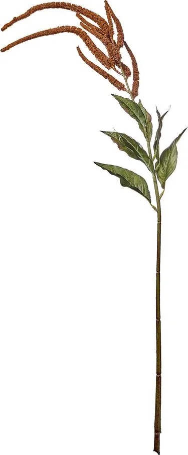 FLORISTA Proso 110 cm - hnědá