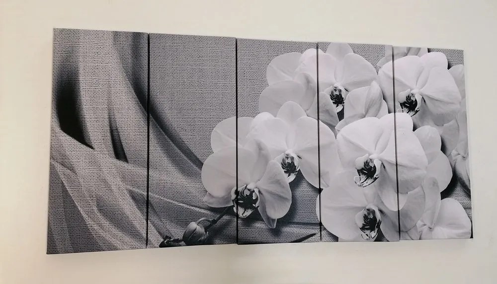5-dílný obraz orchidej na plátně v černobílém provedení - 200x100 cm