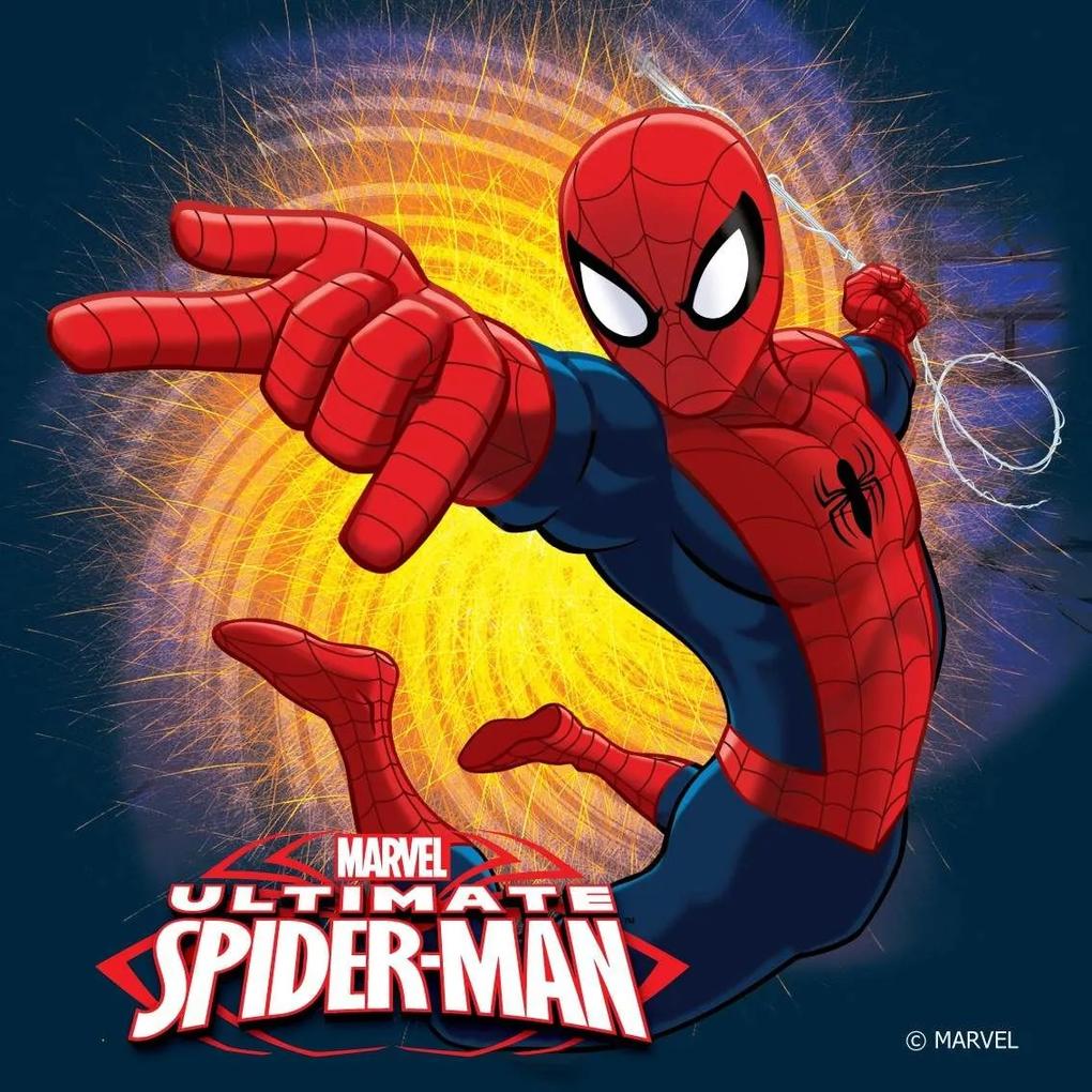 Polštářek Spiderman 2016 Polštářek Spiderman 2016