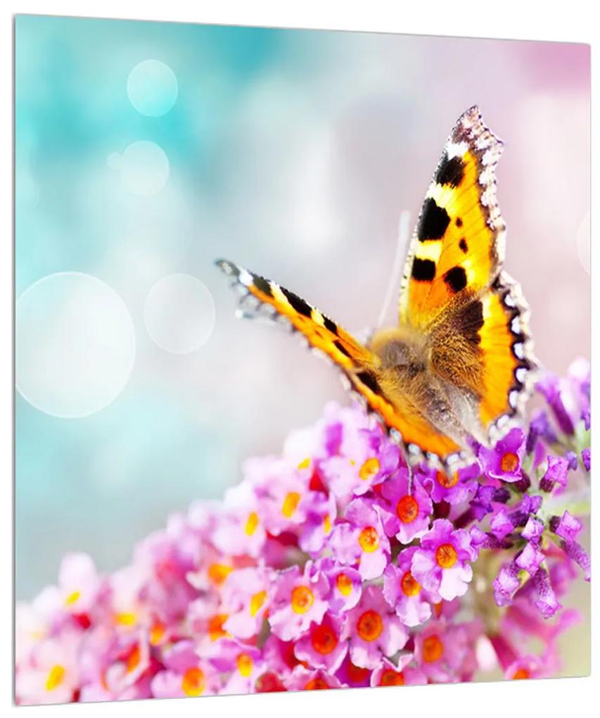 Obraz motýla na květech (30x30 cm)