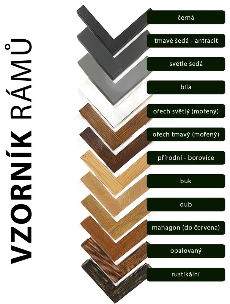 WOODILO Mechový obraz v  rámu z masivu 108 | kopečkový mech Rozměr obrazu: 100x100 cm, Barva rámu: Tmavě šedá, Síla rámu (pohledová): 2,5 cm