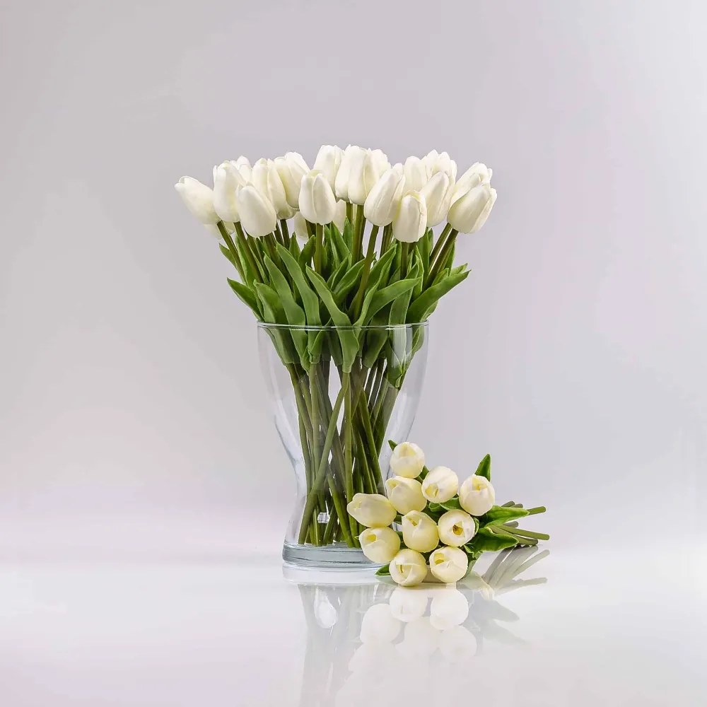 Rozkošný tulipán IVONA