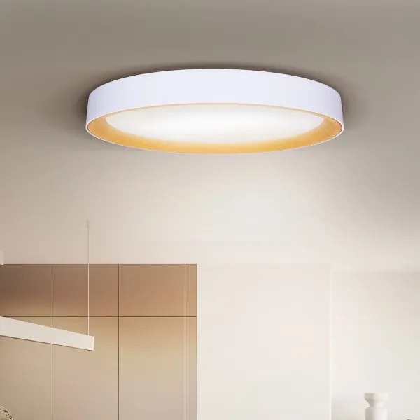 Brilagi - LED Stmívat. stropní svítidlo LARIOS LED/72W/230V bílá pr. 59 cm + DO