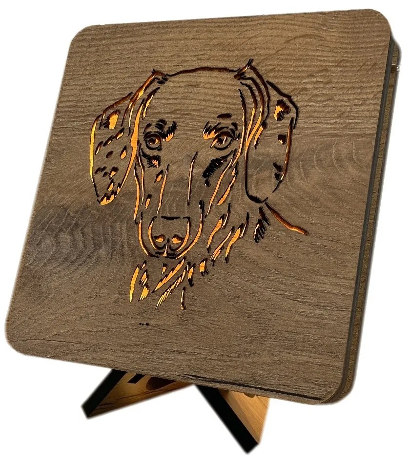Li-Go "Jezevčík krátkosrstý" lampa 19x19cm provedení povrchu: ořech