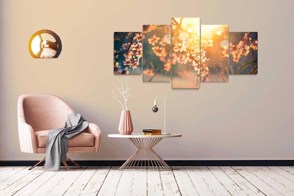 Malvis ® Vícedílný obraz Kvetoucí třešeň Velikost (šířka x výška): 150x75 cm