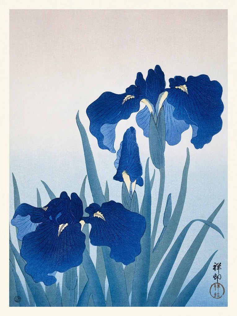 Obrazová reprodukce Blue Iris Flowers (Japandi Vintage) - Ohara Koson, (30 x 40 cm)