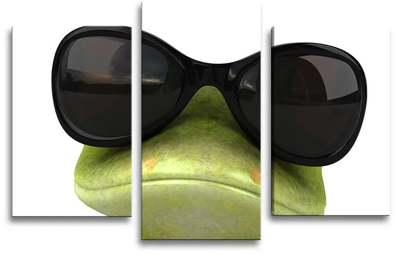 Sablio Obraz - 3-dílný Žába v brýlích - 75x50 cm