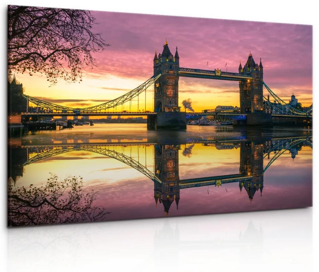Obraz Tower Bridge Londýn Velikost (šířka x výška): 150x100 cm