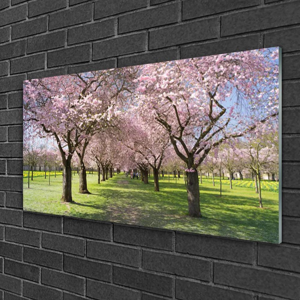 Obraz na skle Stezka Stromy Příroda 140x70 cm