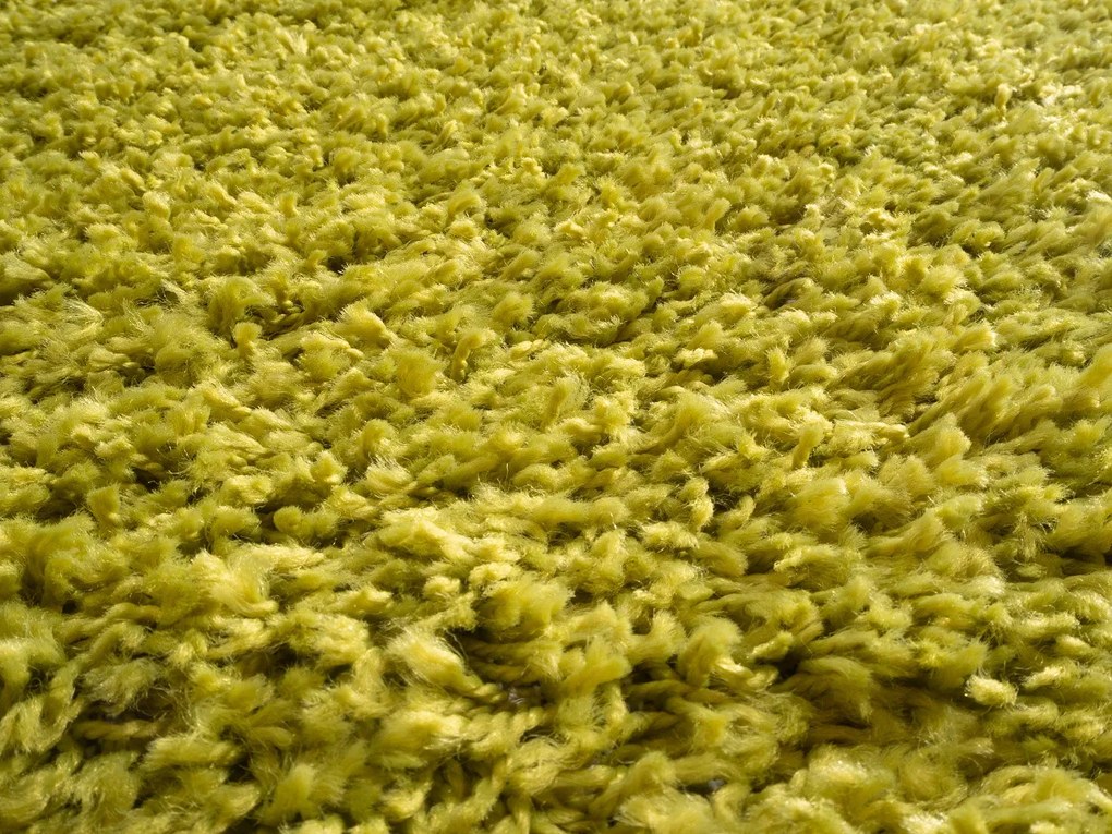 Mono Carpet, Kusový koberec Efor Shaggy 1903 Green, 120x170, zelená, ložnice