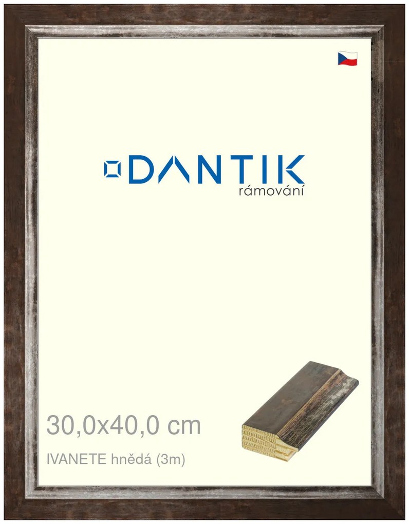 DANTIK rámeček 30x40 | IVANETE hnědá (Plexi Čiré)