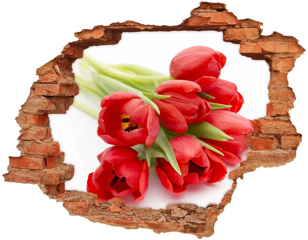 Wallmuralia Samolepící díra na stěnu Červené tulipány 90x70 cm