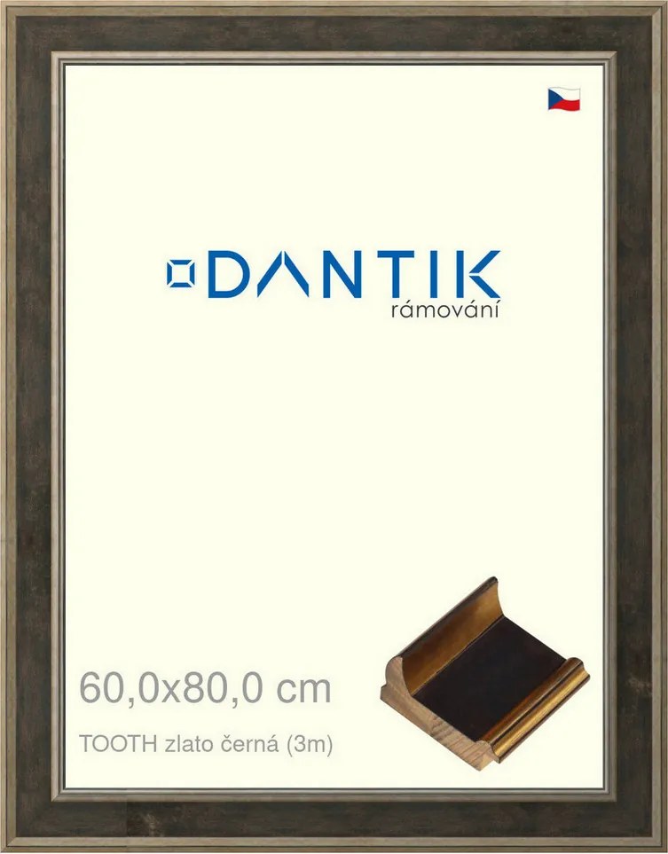 DANTIK rámeček 60x80 | TOOTH zlato černá (Plexi Čiré)