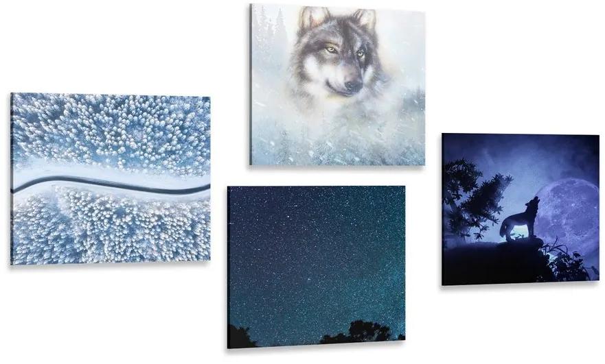 Set obrazů samotářský vlk Varianta: 4x 60x60