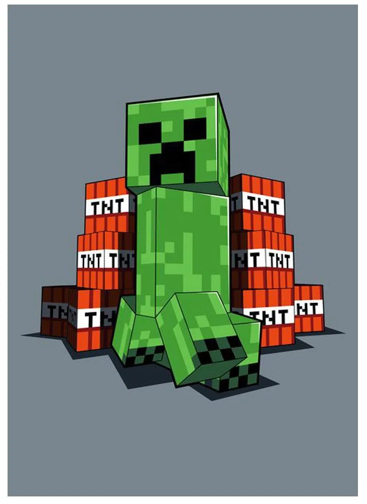 FLEECOVÁ DEKA MINECRAFT CREEPER 100X150 CM VZOROVANÁ