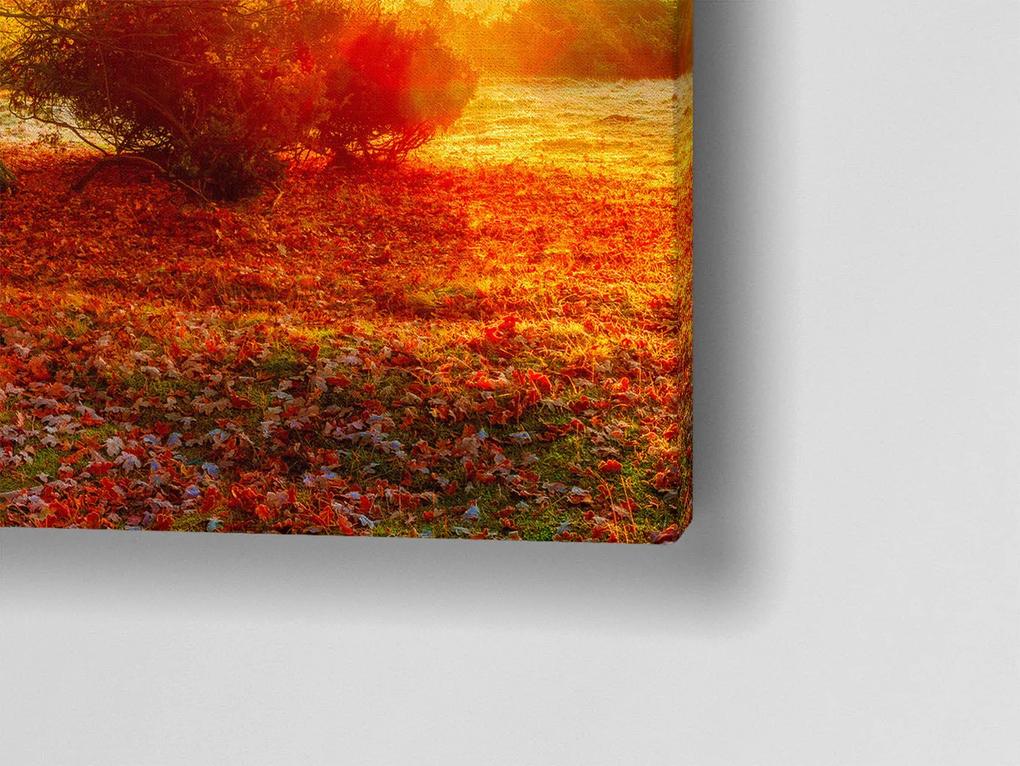Liox Obraz strom v paprscích slunce Rozměr: 80 x 35 cm