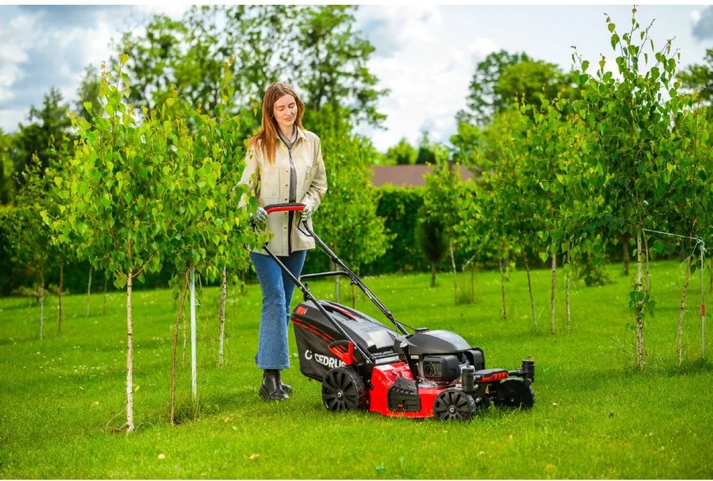 Hahn & Sohn Cedrus Benzínová sekačka KS51S-ZT s pojezdem otočná přední kola HP161050