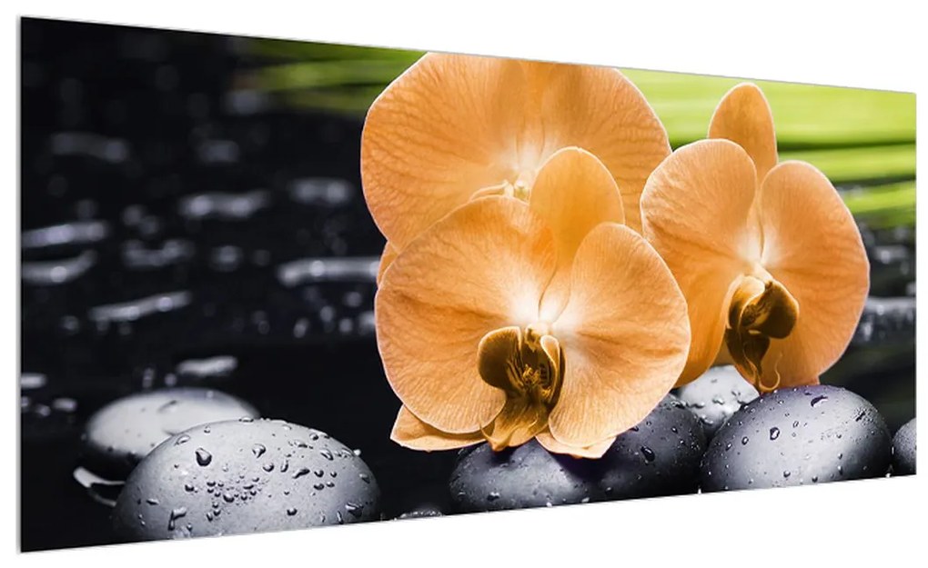 Obraz orchideje (100x40 cm)