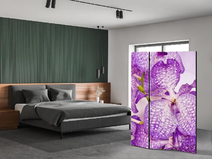 Liox Paraván fialová orchidej Rozměr: 135 x 180 cm