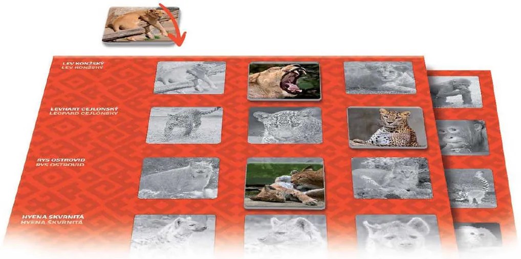 EFKO HRA Lototrio Zvířata v ZOO 1 dětské vzdělávací hry ef8860