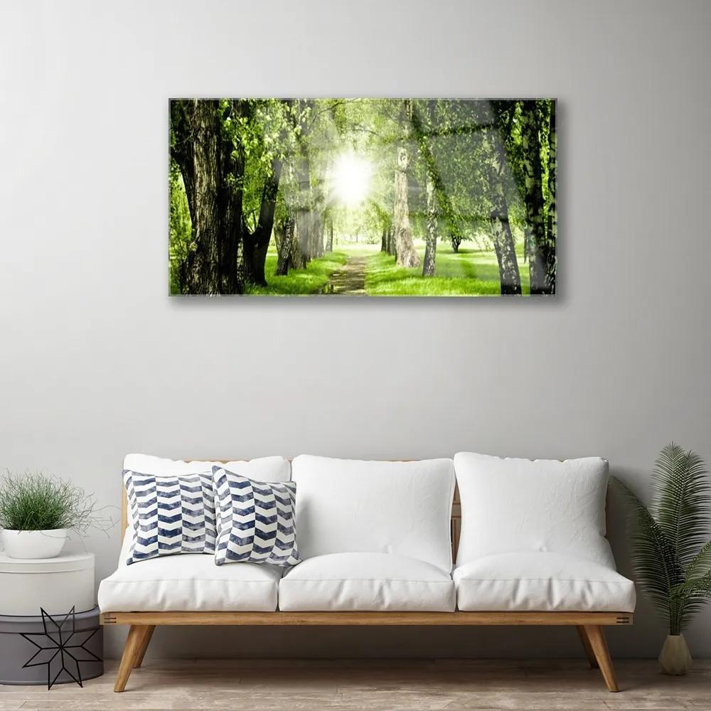 Obraz na skle Les Slunce Stezka Příroda 100x50 cm