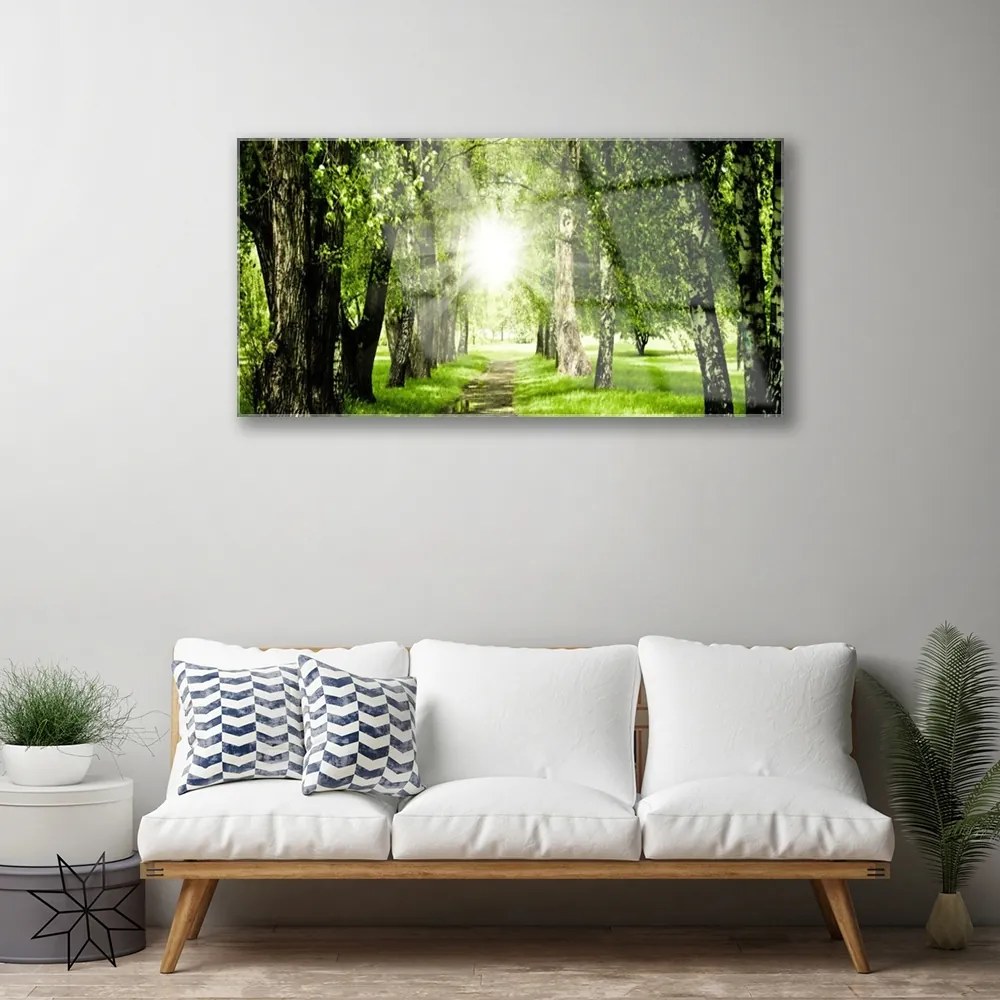 Obraz na skle Les Slunce Stezka Příroda 120x60 cm