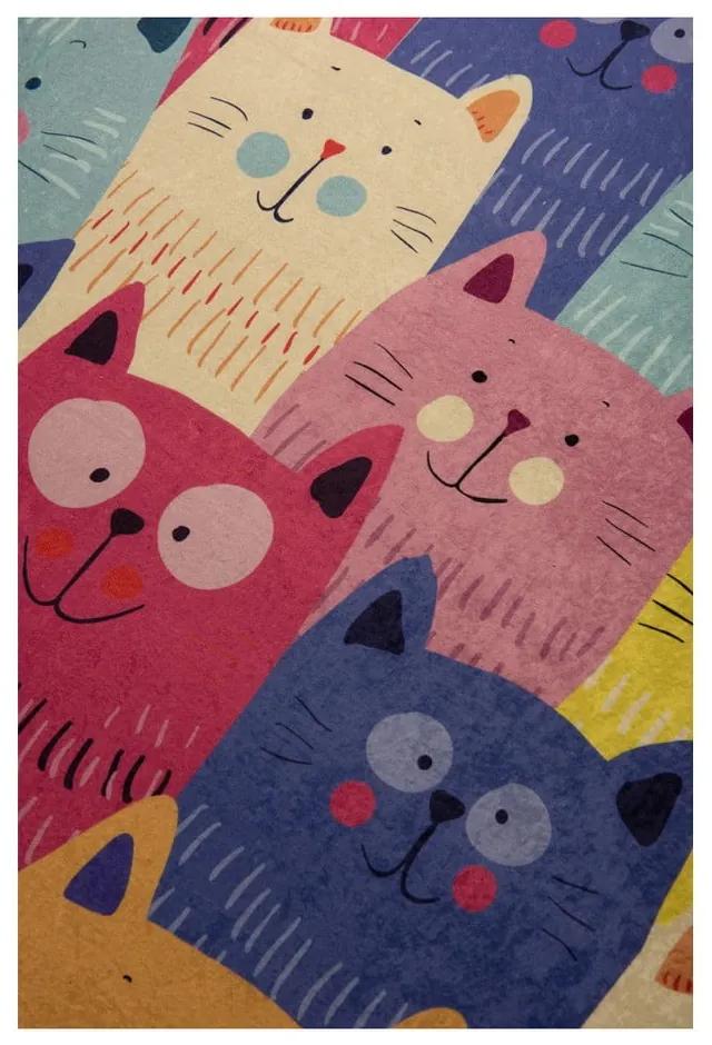 Dětský koberec Cats, 100 x 160 cm