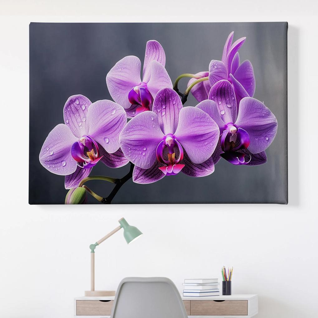 Obraz na plátně - Květ fialová orchidej FeelHappy.cz Velikost obrazu: 120 x 80 cm