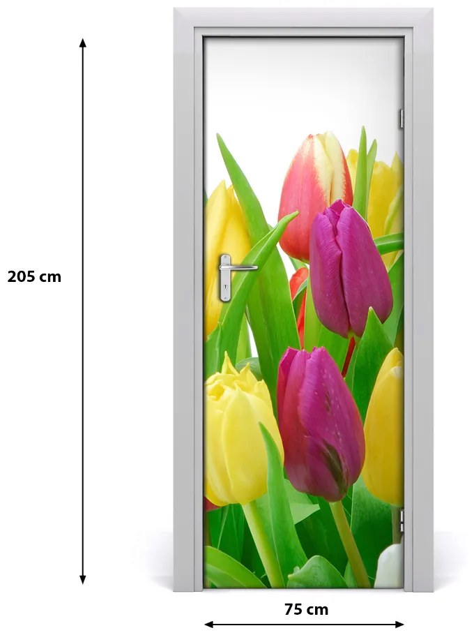 Fototapeta na dveře Květy tulipány 75x205 cm
