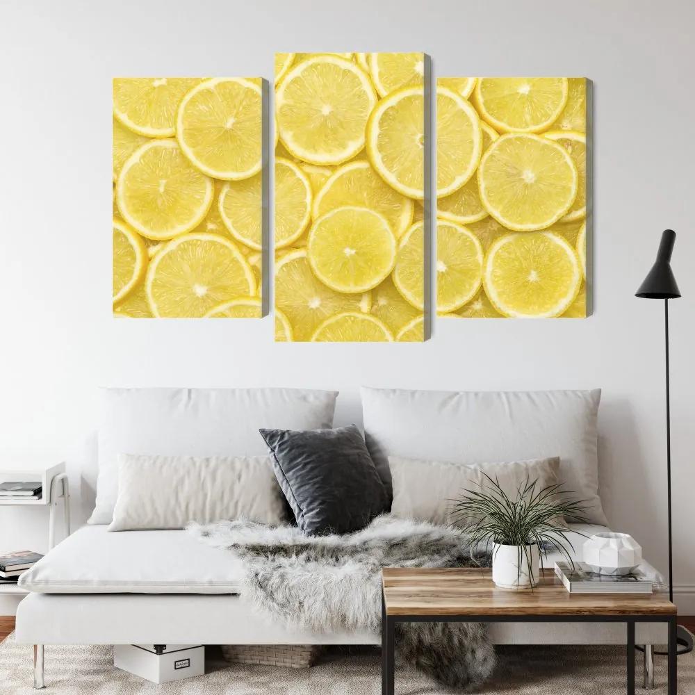 Vícedílný obraz Plátky Citronu Nedostatek Nedostatek Plátno Canvas 180x120