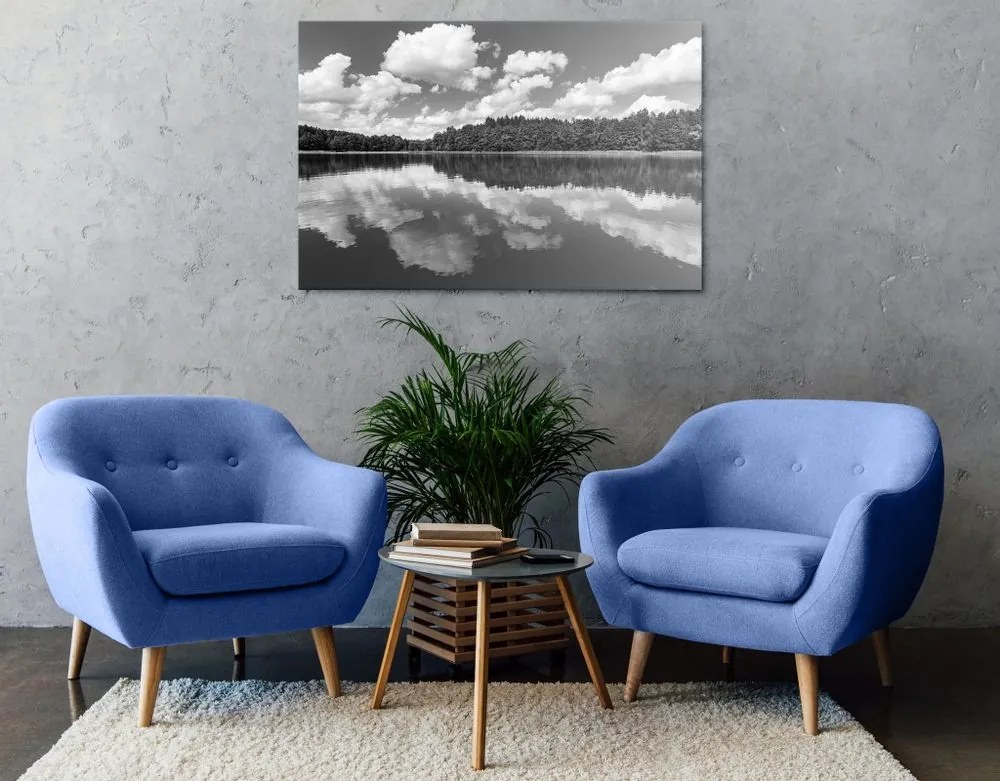 Obraz příroda v letním období v černobílém provedení - 120x80 cm