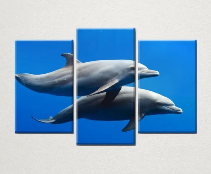 3-dílný obraz - Delfíni