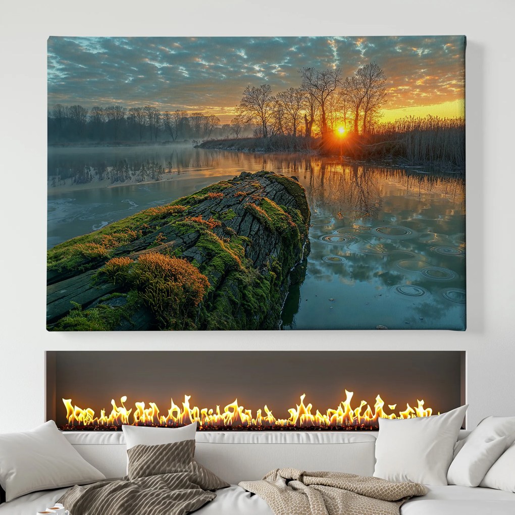 Obraz na plátně - Mechová kláda v mokřadech FeelHappy.cz Velikost obrazu (šířka x výška): 120 x 80 cm