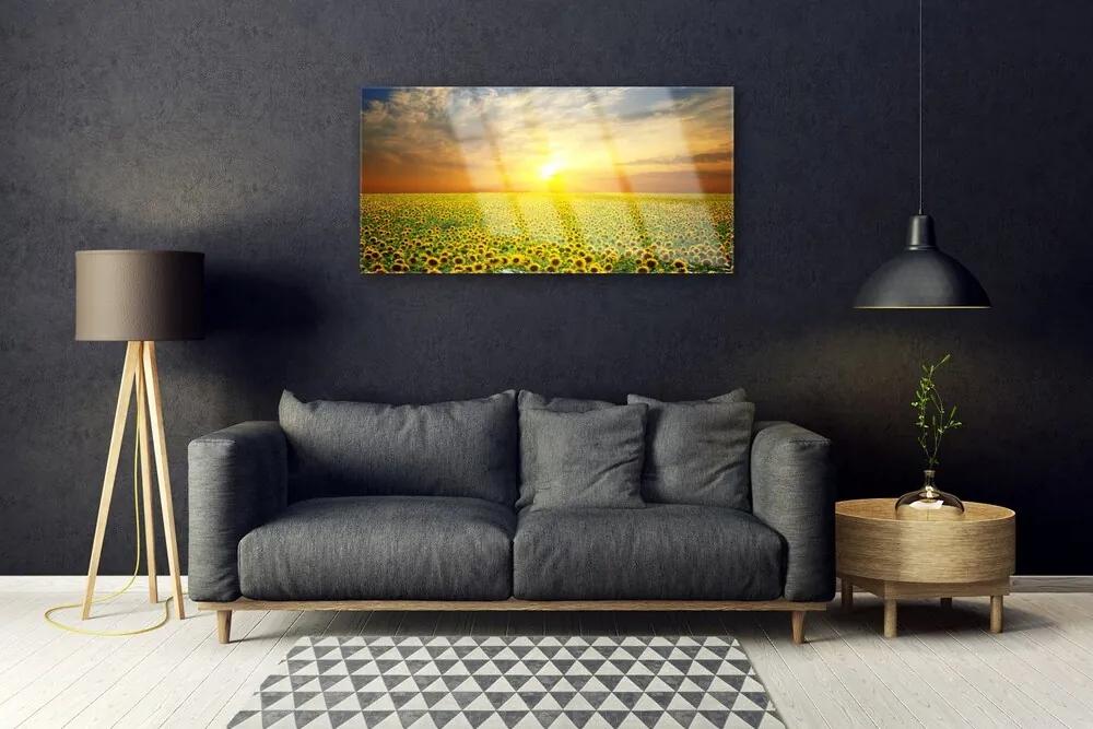 Obraz na skle Slunce Louka Slunečnice 100x50 cm