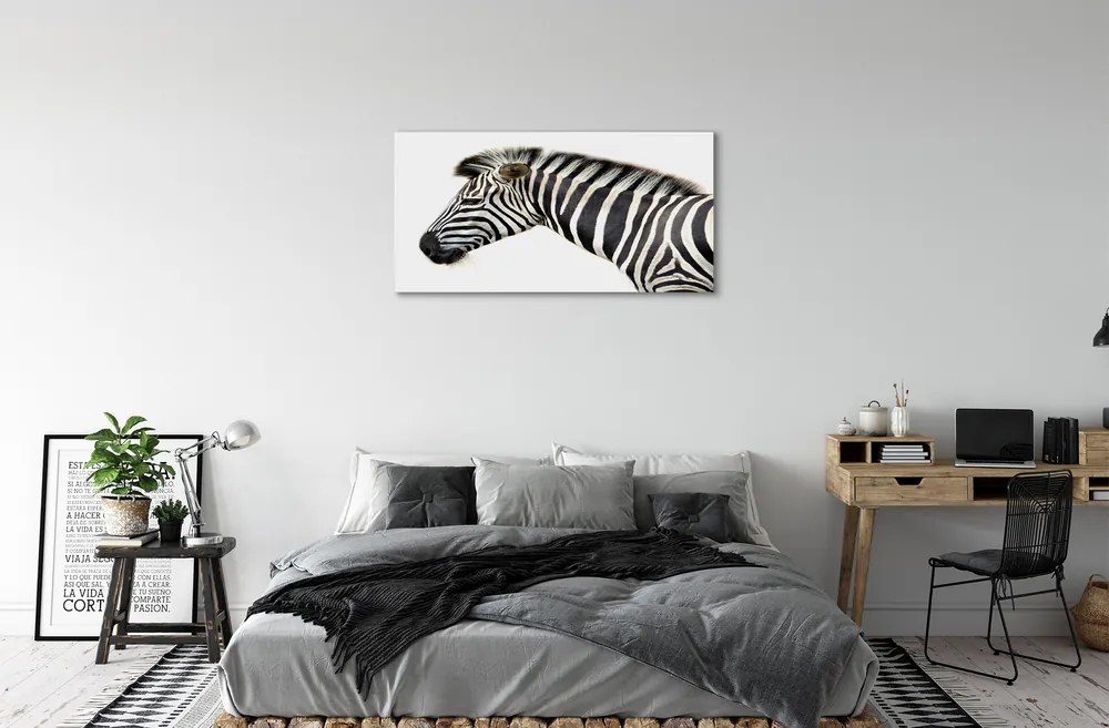 Obrazy na plátně zebra 100x50 cm