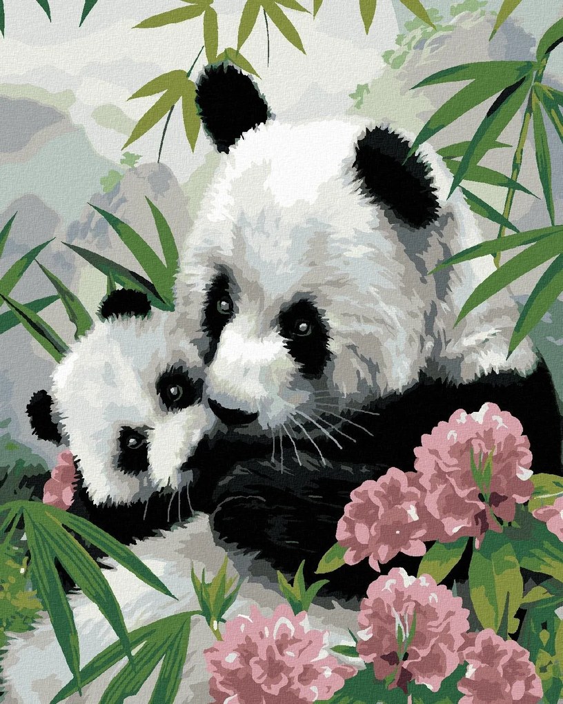zuty malování podle čísel - panda s mládětem a růžové květy (howard robinson), 80x100 cm, bez rámu a bez