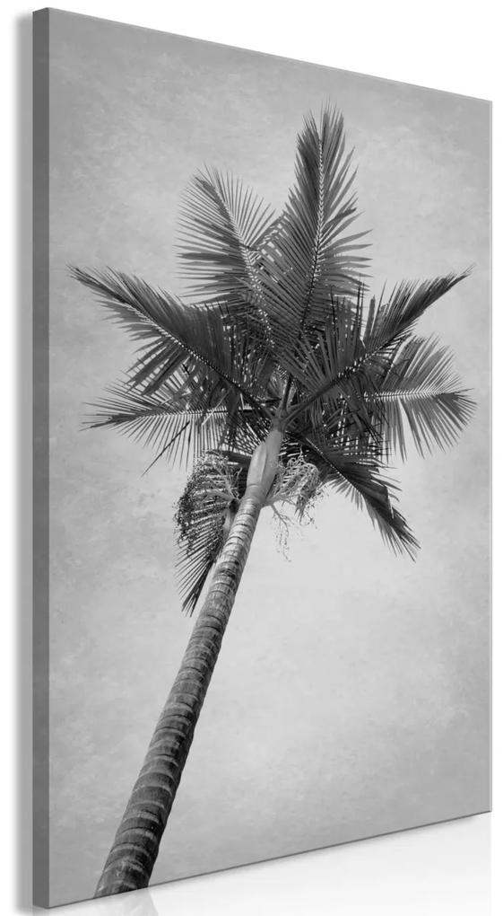 Obraz - High Palm Tree (1 Part) Vertical