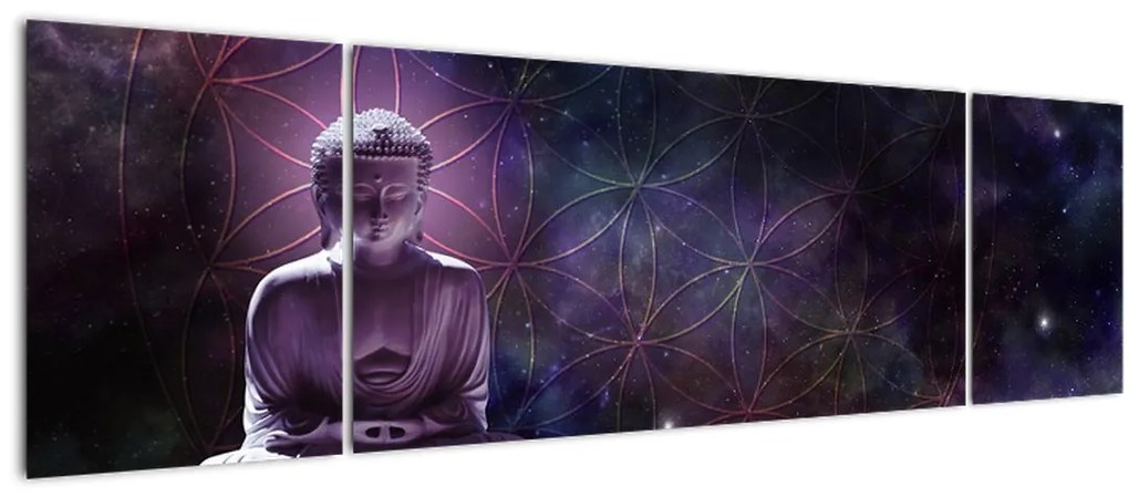 Obraz - Buddha s květy života (170x50 cm)