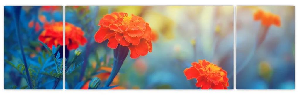 Obraz - Oranžové květy (170x50 cm)