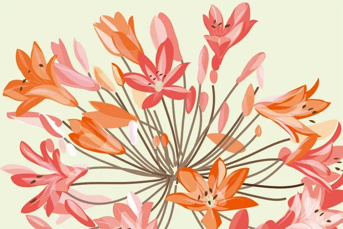 Fototapeta DIMEX Orange Flowers XL-347| 330 x 220 cm