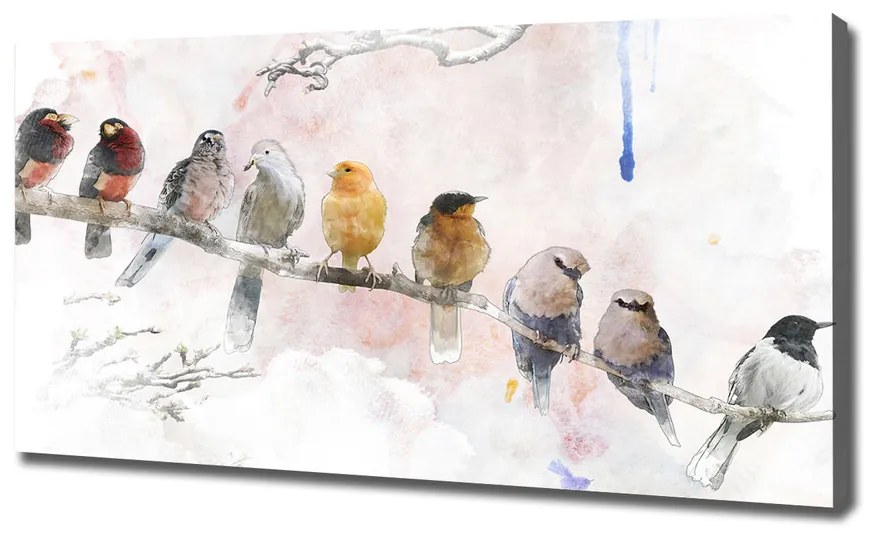 Wallmuralia Foto obraz na plátně Ptáci na větvi 120x60 cm