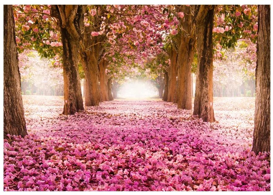 Fototapeta - Pink grove