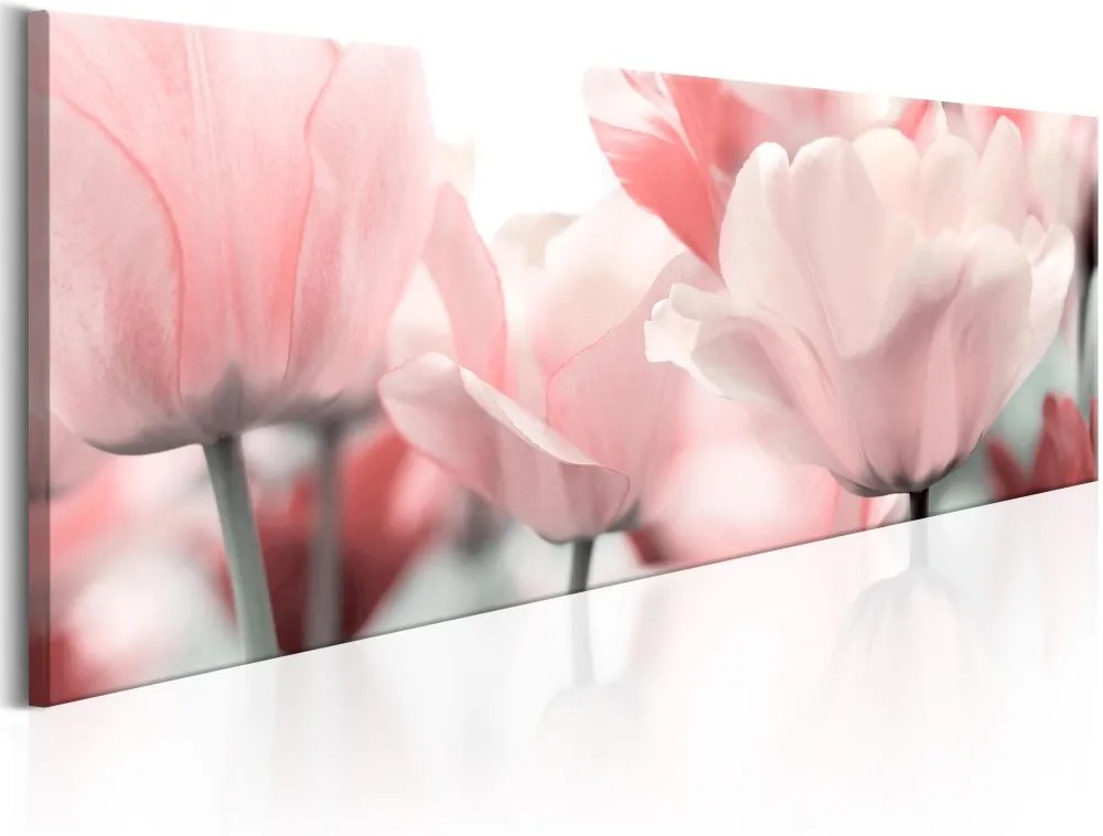 Obraz na plátně Bimago - Pink Tulips 120x40 cm