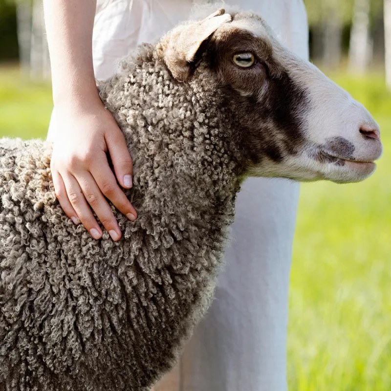 Vlněná deka Kaamos 100x150, olivová / Finnsheep