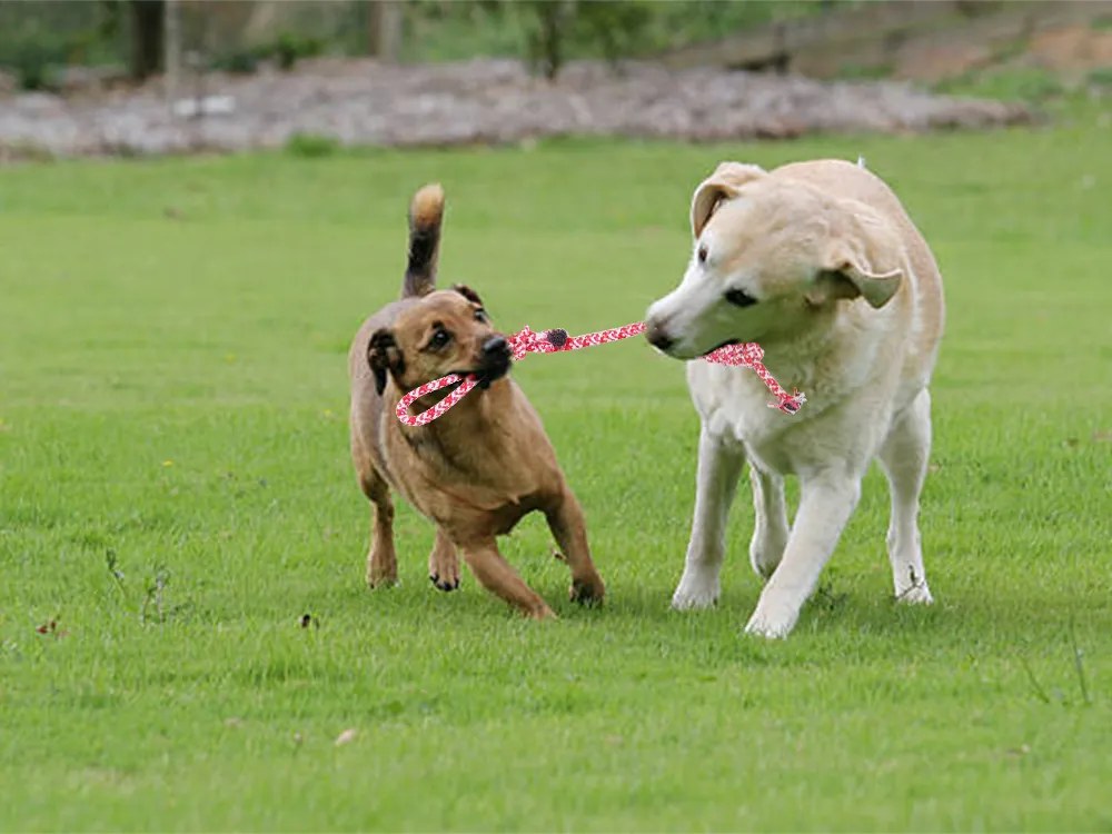 Przyjaciele Přetahovací lano pro psy silné dlouhé lano