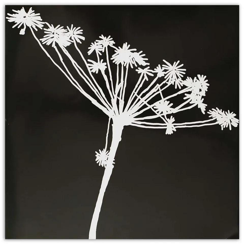 Obraz na plátně Květina Černobílá příroda - 60x60 cm