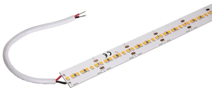 GRAZIA PRO MAX FLEXSTRIP 24 V 20 mm 5 m 12500 lm 3000 K - BIG WHITE