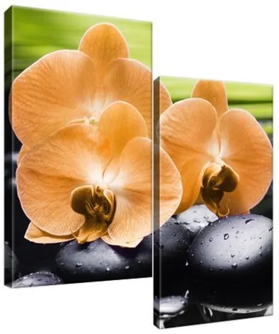 Obraz na plátně Oranžová orchidej 60x60cm 1713A_2A