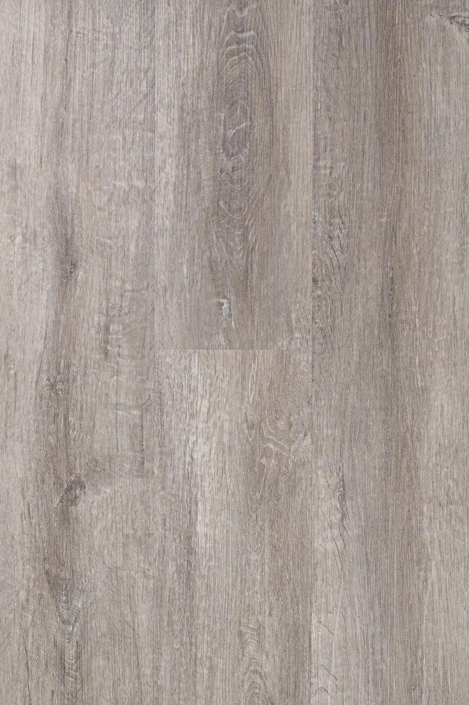 Egibi, AKCE: Lepená podlaha Vinylová podlaha lepená Canadian Design Regina DRY BACK, 914,4 x 152,4 mm