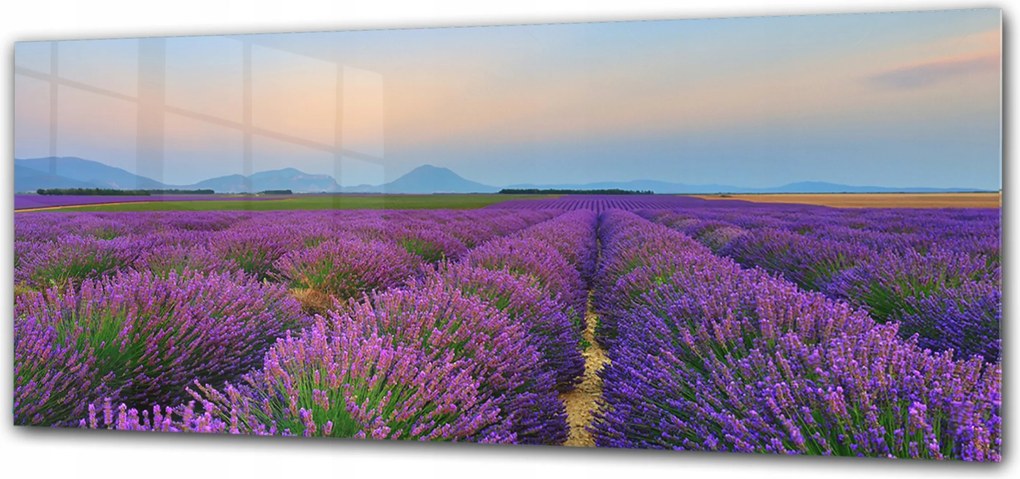 Skleněný obraz 125x50 tvrzená grafika vřesy